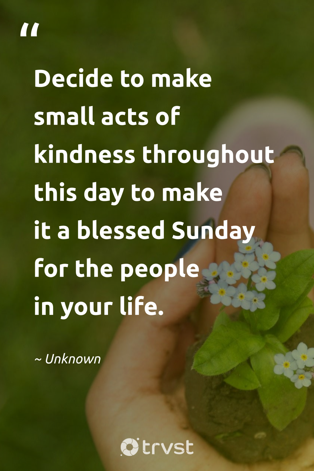 40 Happy Sunday Quotes Bridging Leisure and Preparation