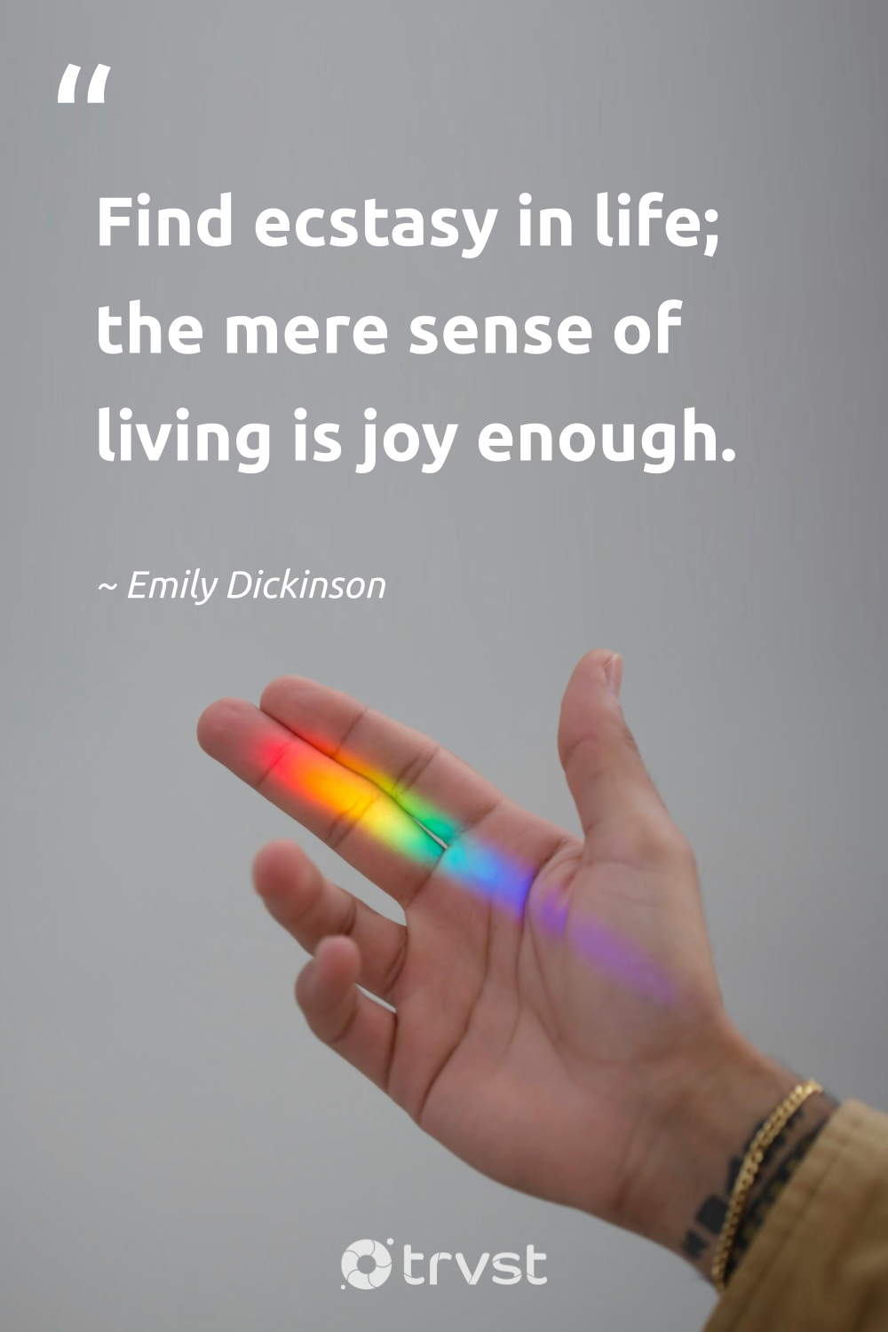 50 Having Fun Quotes To Find Joy In Everything
