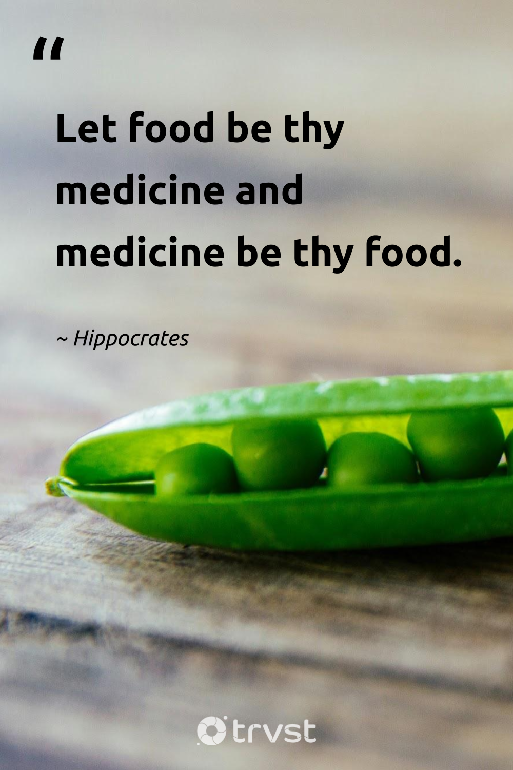 45 Healthy Eating Quotes For Better Food Choices