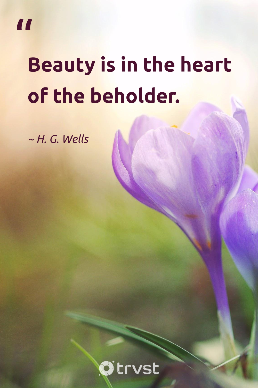 77 Motivational Heart Quotes to Awaken Your Passion and Purpose