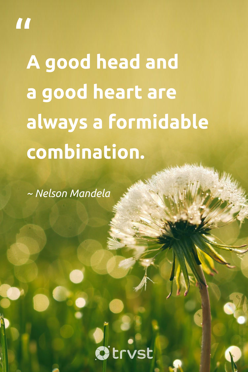 77 Motivational Heart Quotes to Awaken Your Passion and Purpose