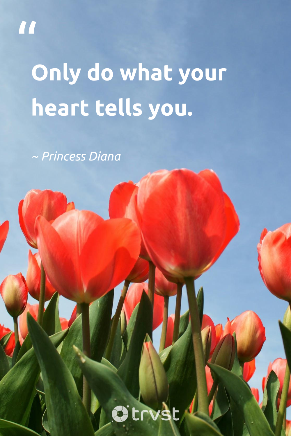 77 Motivational Heart Quotes to Awaken Your Passion and Purpose