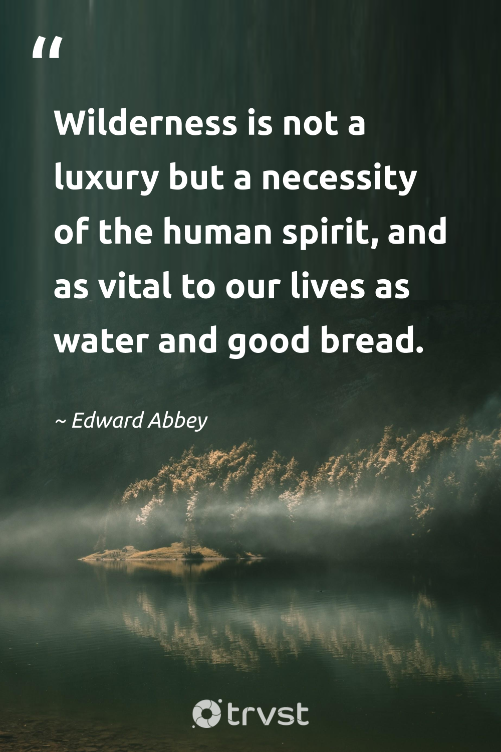 56 Hiking Quotes and Sayings About Walking in the Wilderness