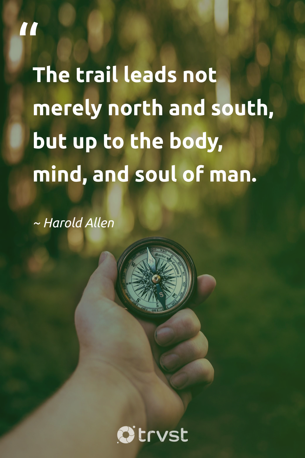 56 Hiking Quotes and Sayings About Walking in the Wilderness