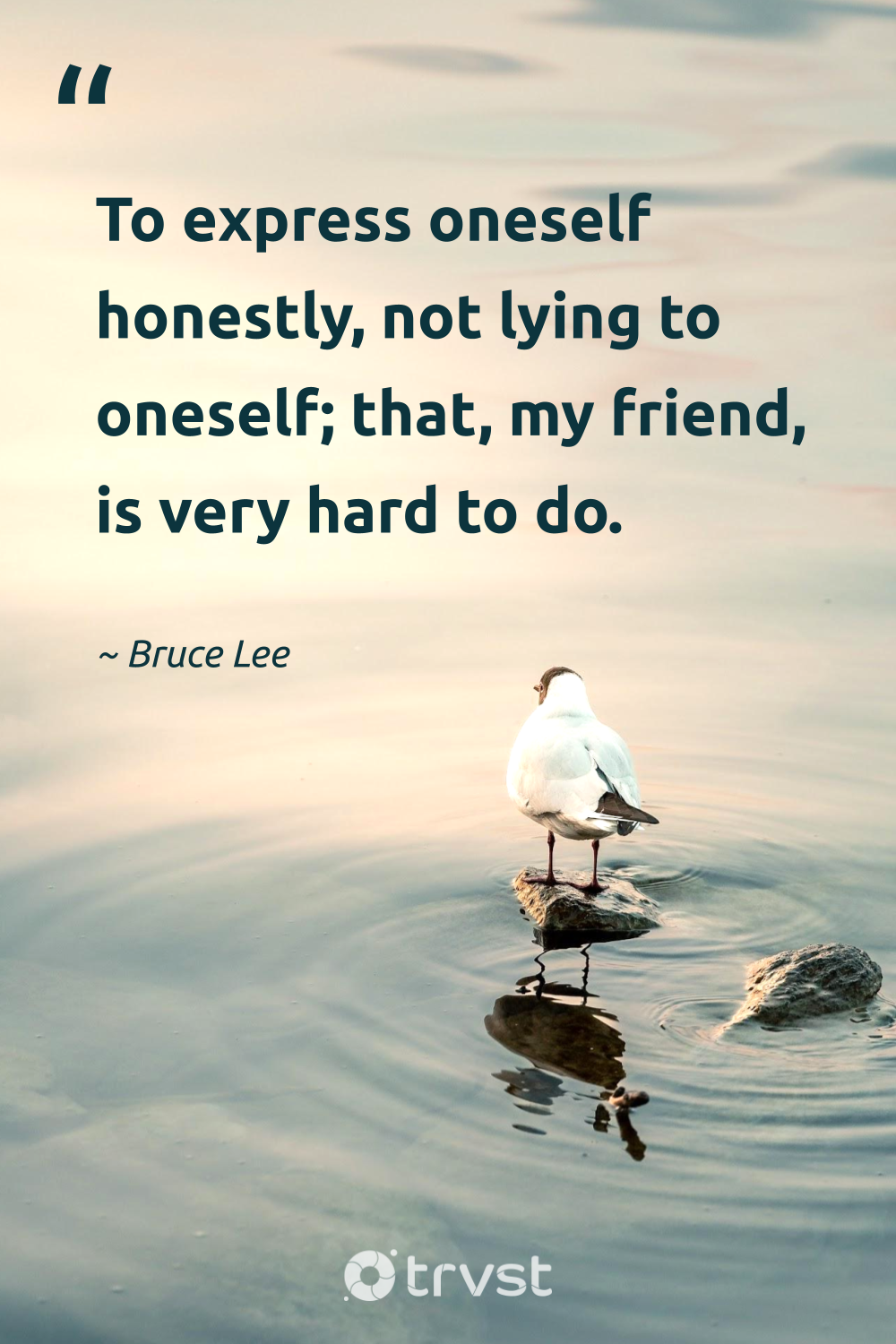 72 Honesty Quotes to Foster Trust and Respect (2025)