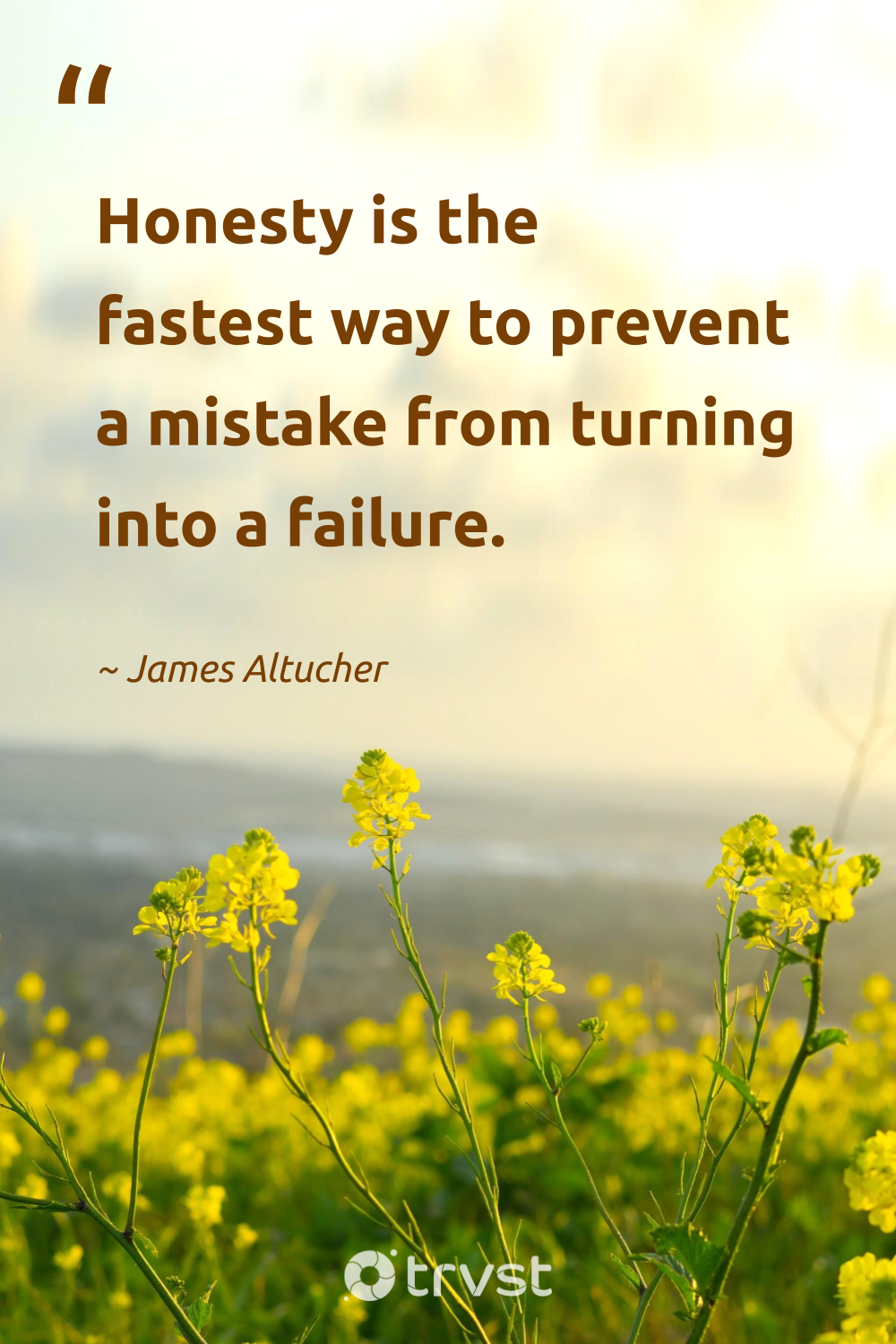 72 Honesty Quotes to Foster Trust and Respect (2024)