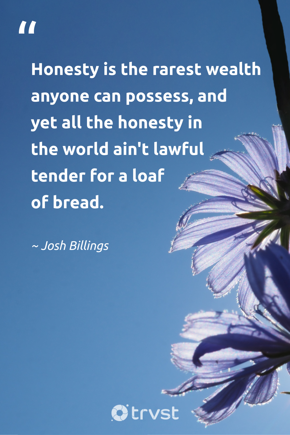 72 Honesty Quotes to Foster Trust and Respect (2025)