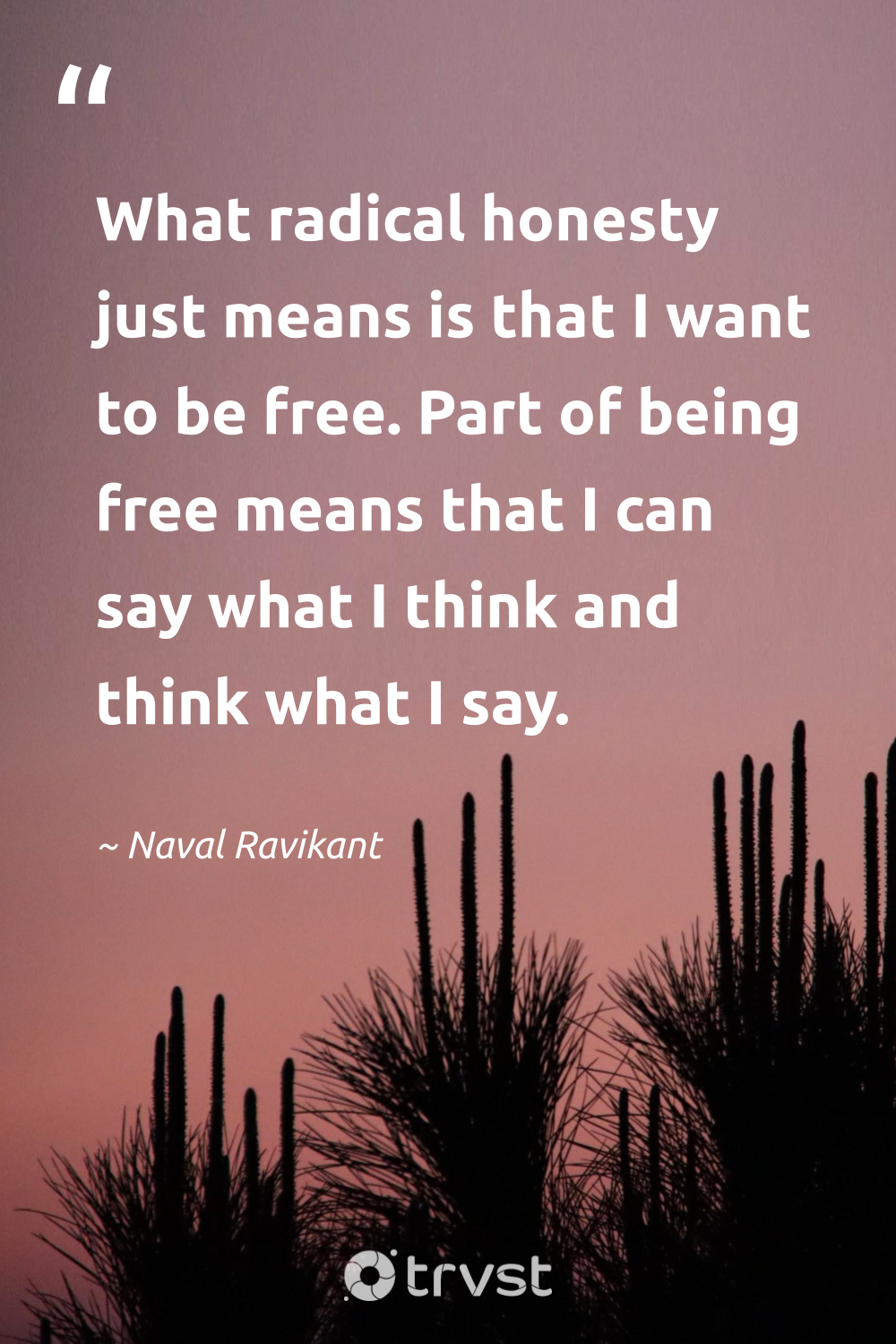 72 Honesty Quotes to Foster Trust and Respect (2025)