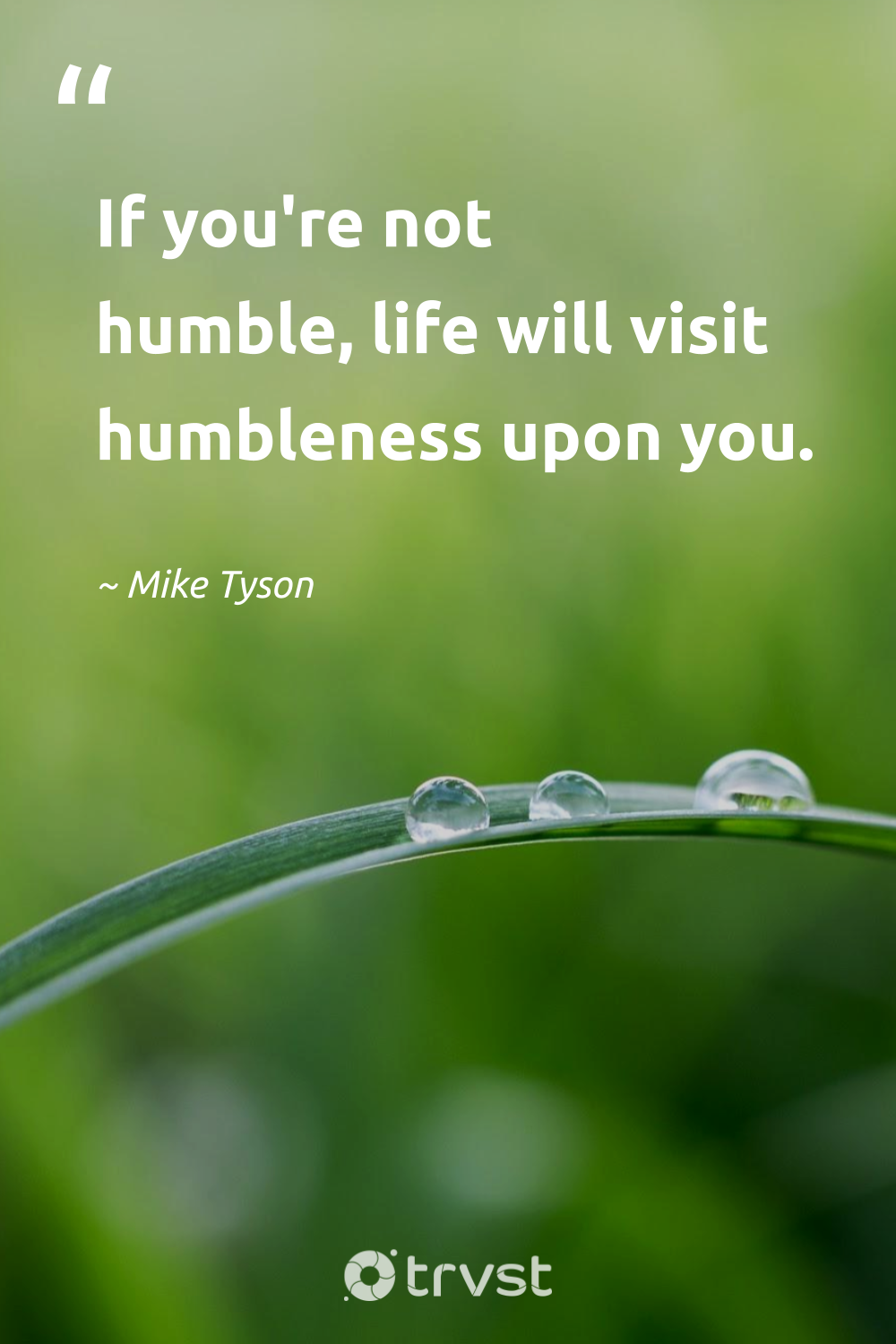 40 Humility Quotes About Being Down To Earth