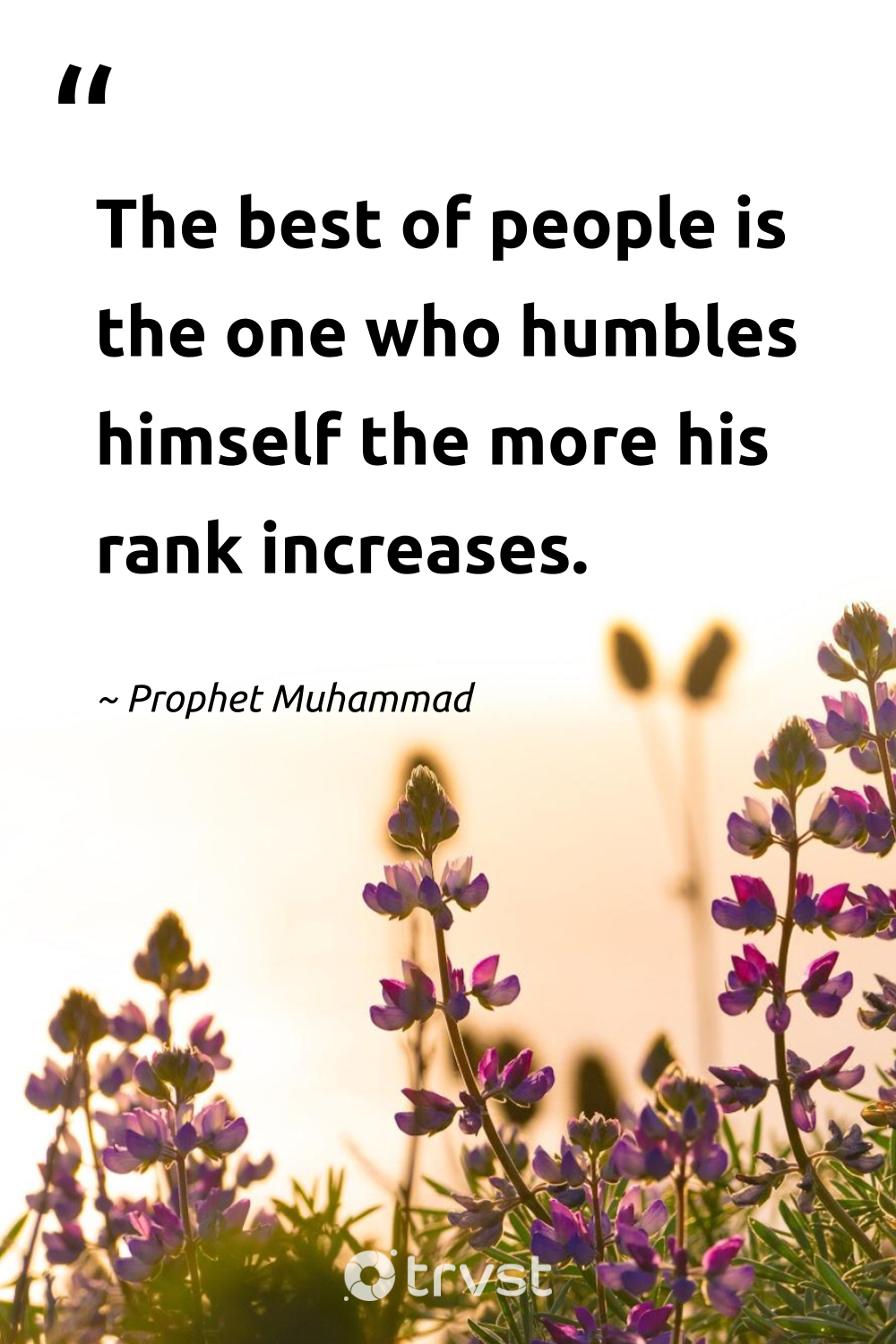 40 Humility Quotes About Being Down To Earth