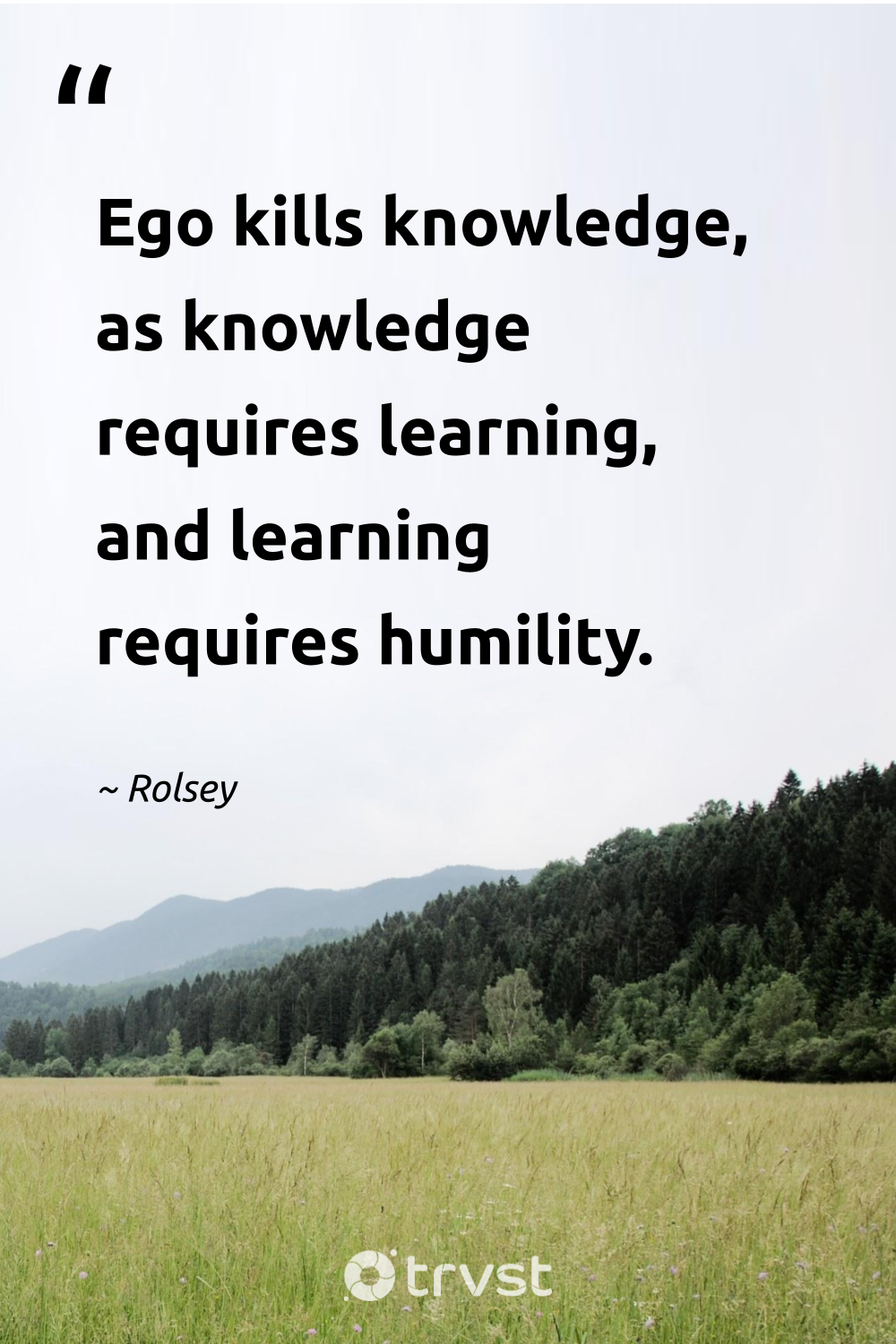 40 Humility Quotes About Being Down To Earth