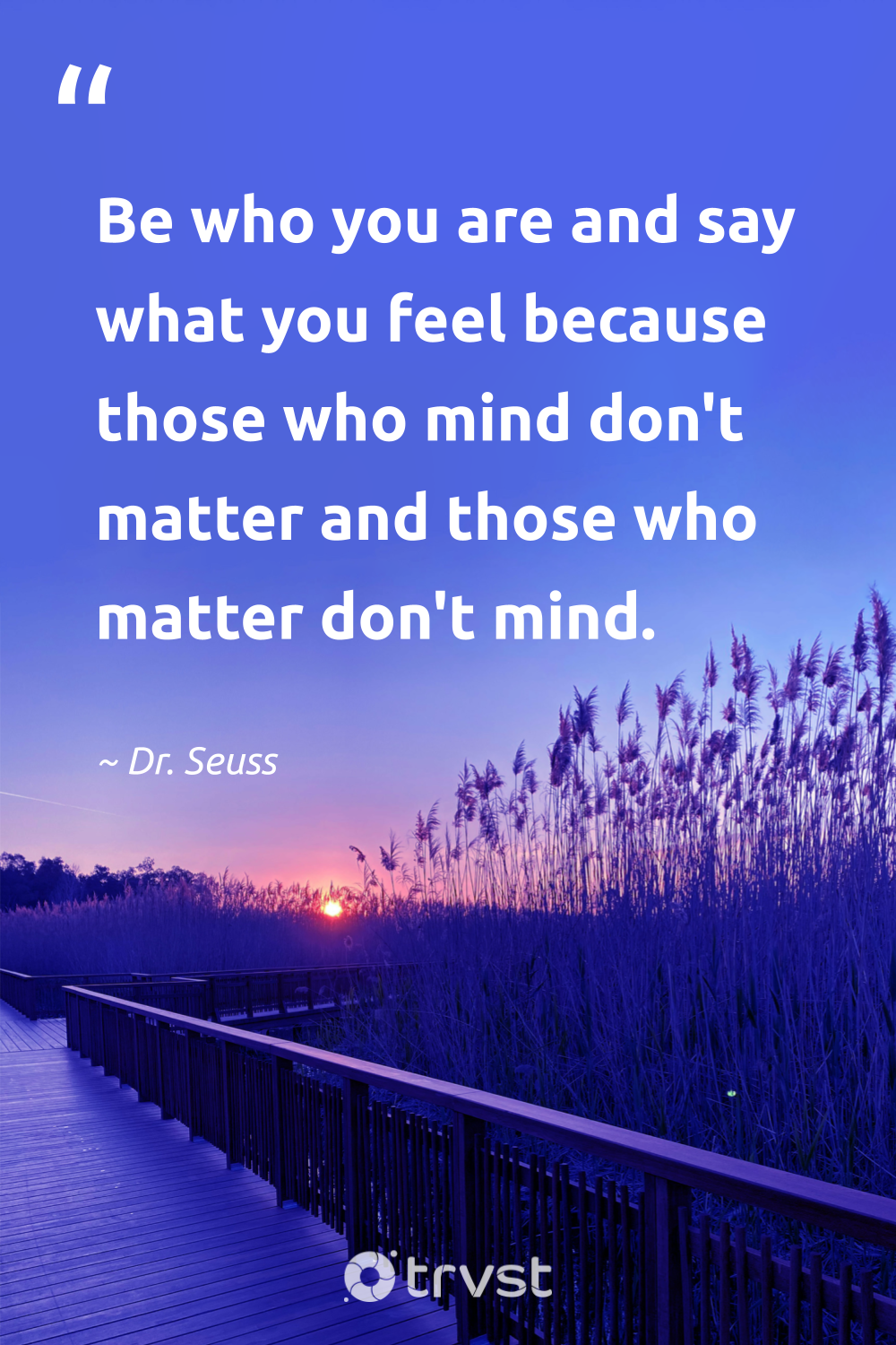 44 Powerful Identity Quotes to Spark Self-Reflection (2025)