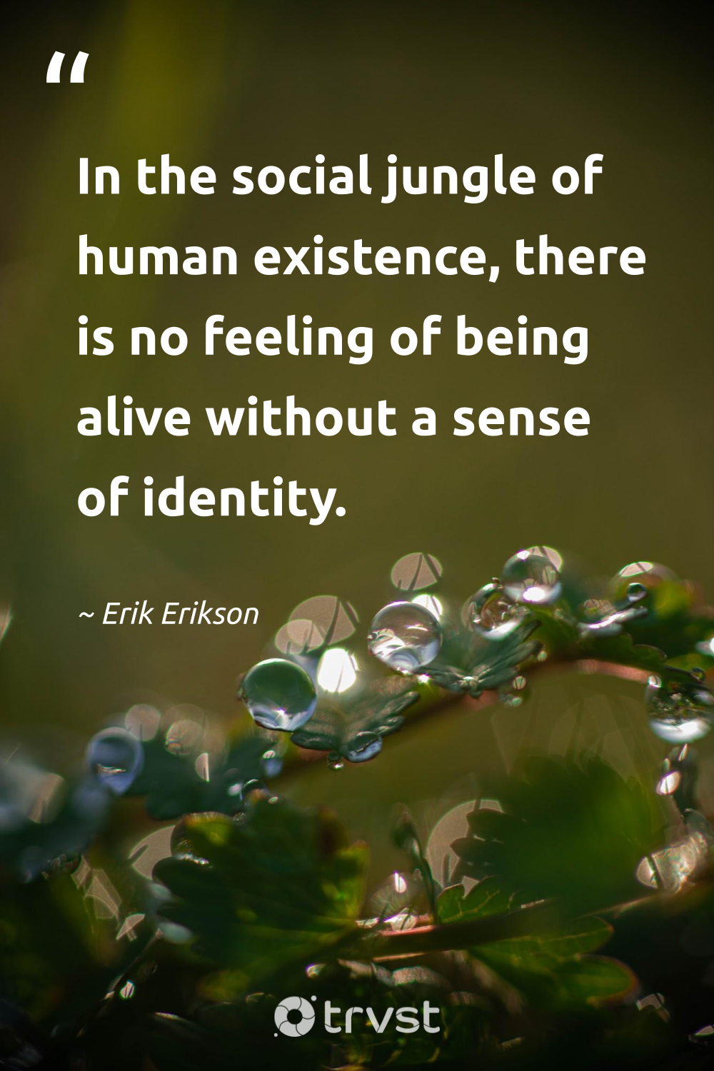 44 Powerful Identity Quotes to Spark Self-Reflection (2025)