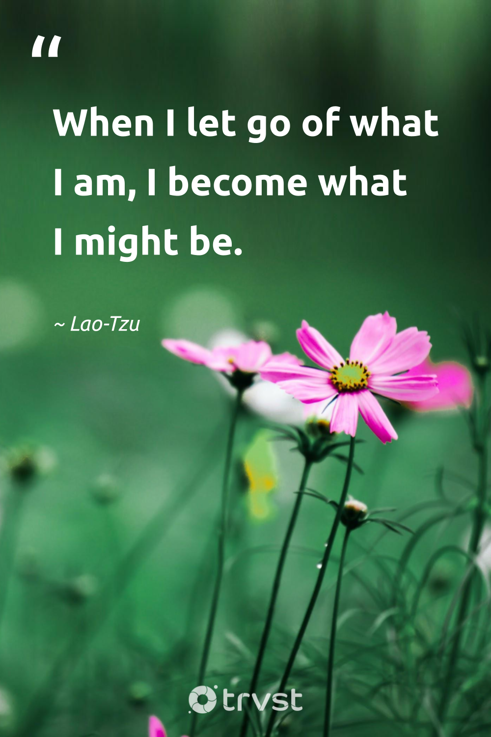 44 Powerful Identity Quotes to Spark Self-Reflection (2025)