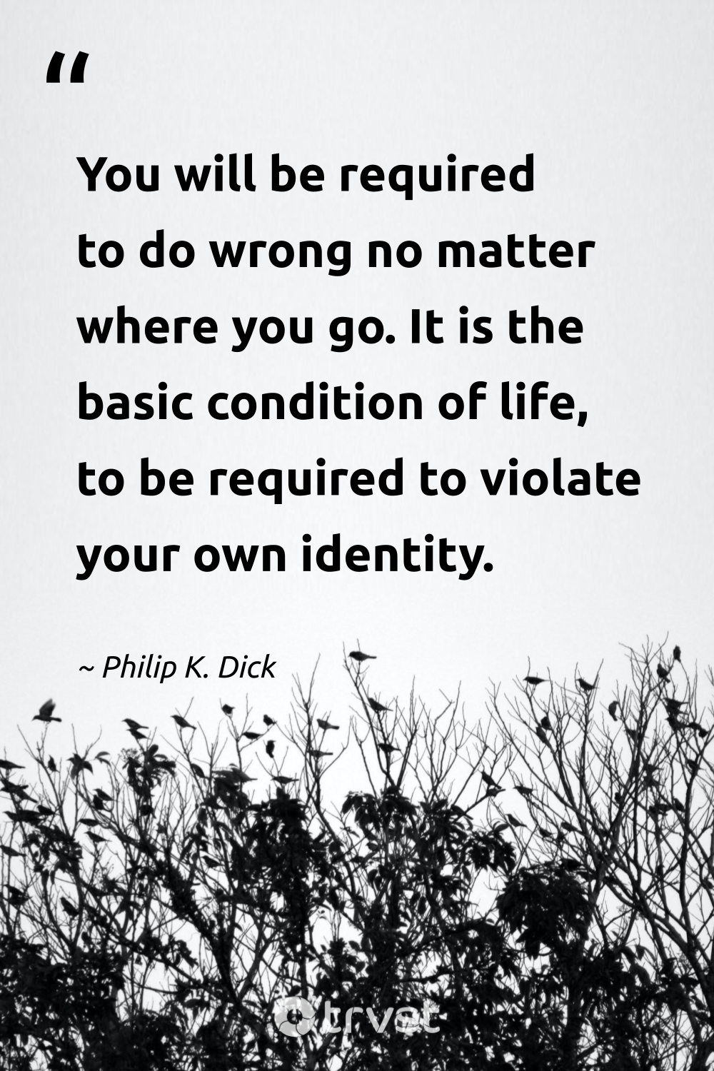 44 Powerful Identity Quotes to Spark Self-Reflection (2025)