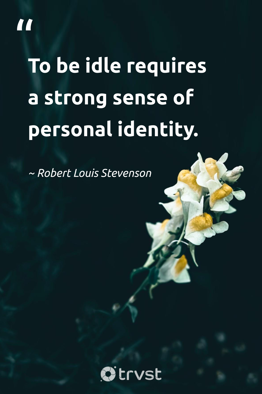 44 Powerful Identity Quotes to Spark Self-Reflection (2025)