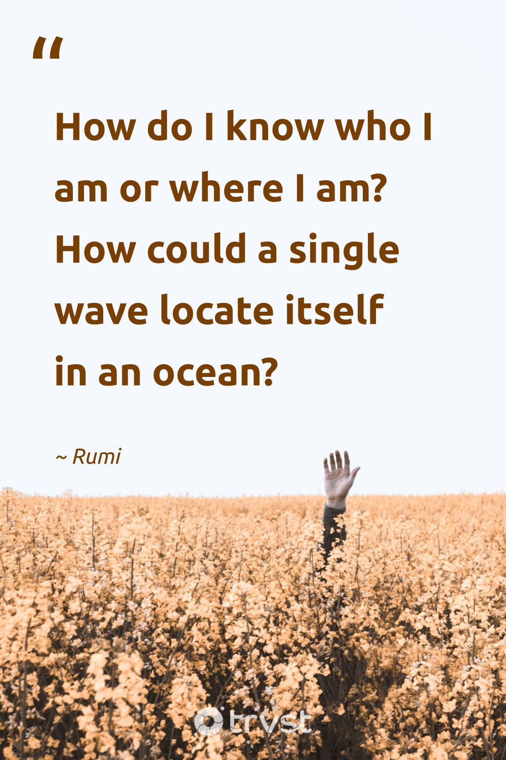 44 Powerful Identity Quotes to Spark Self-Reflection (2025)