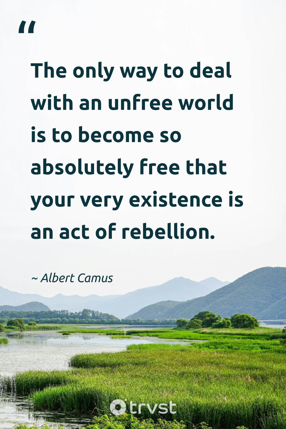 40 Independence Quotes Inspiring Freedom And Peace