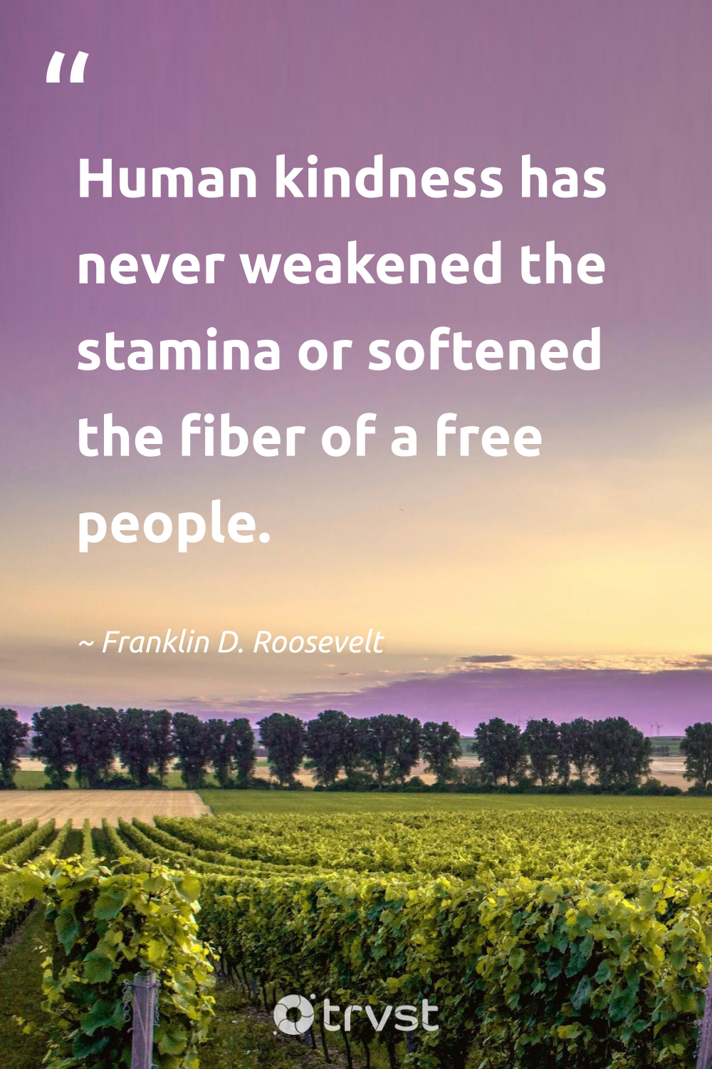 40 Independence Quotes Inspiring Freedom And Peace