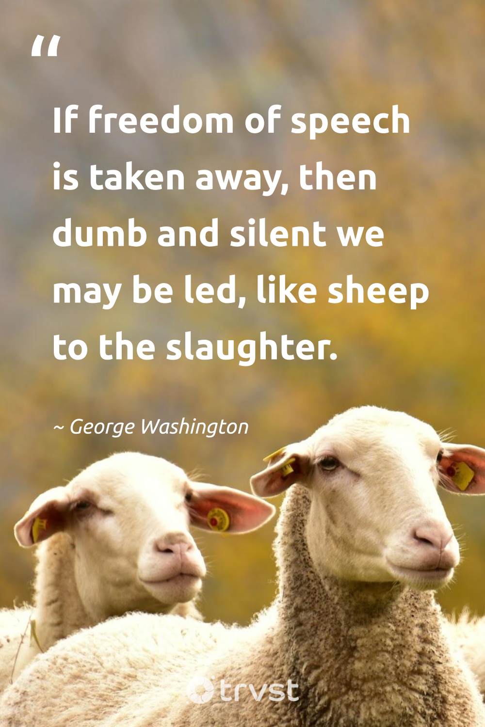 40 Independence Quotes Inspiring Freedom And Peace