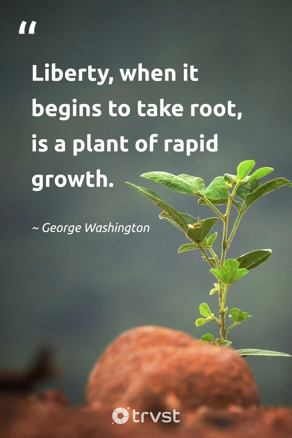 40 Independence Quotes Inspiring Freedom And Peace