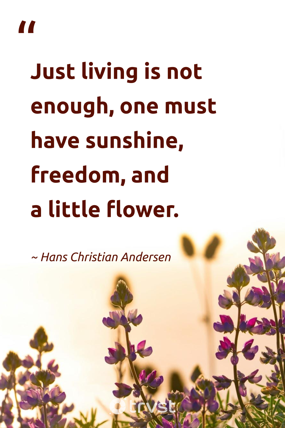 40 Independence Quotes Inspiring Freedom And Peace