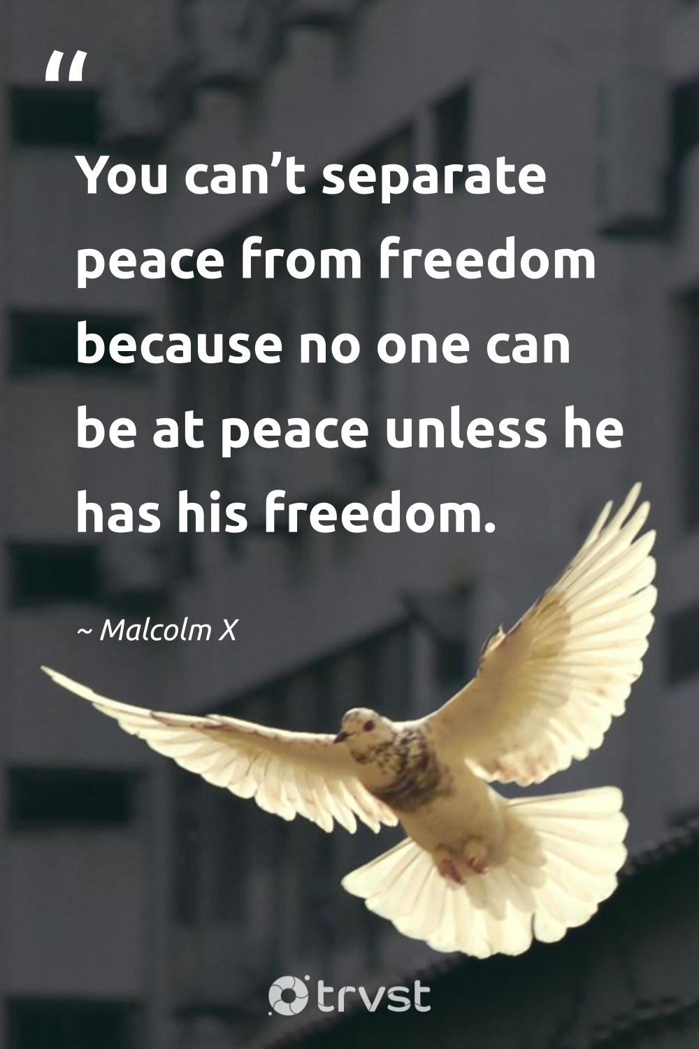 40 Independence Quotes Inspiring Freedom And Peace