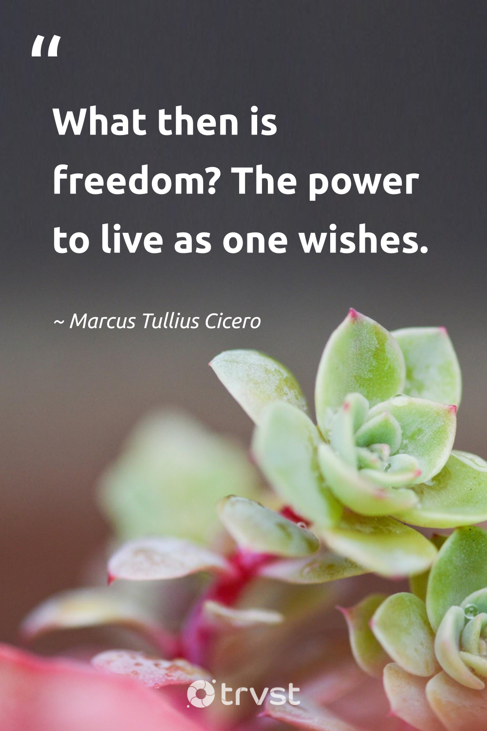 40 Independence Quotes Inspiring Freedom And Peace