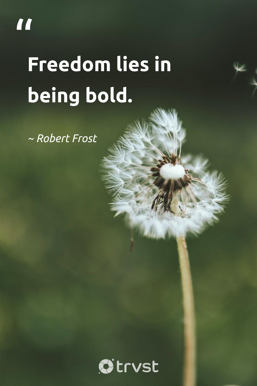 40 Independence Quotes Inspiring Freedom And Peace