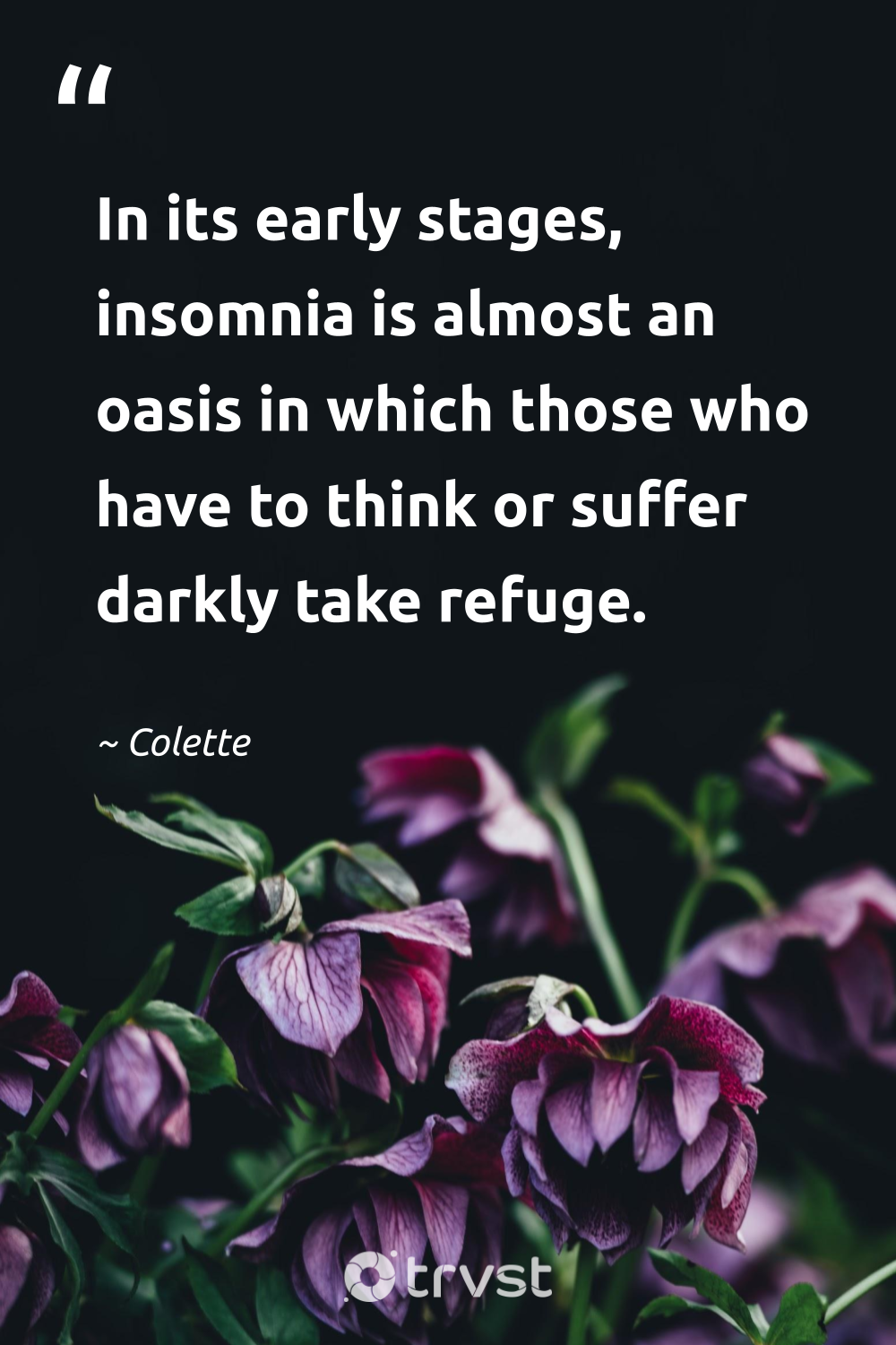 51 Insomnia Quotes To Ponder When Sleep Eludes You