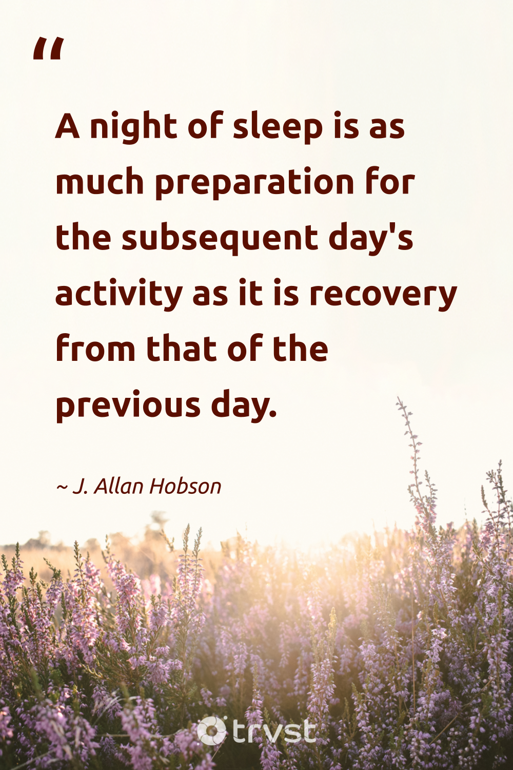 51 Insomnia Quotes To Ponder When Sleep Eludes You