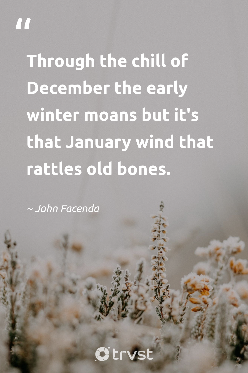 39 January Quotes and Sayings to Start the Year Right