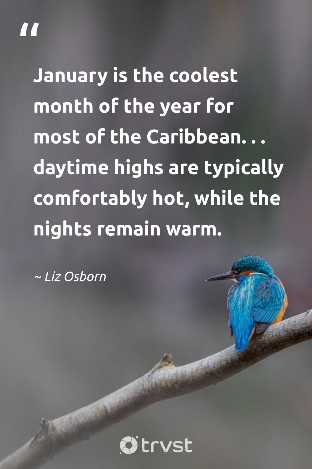 39 January Quotes and Sayings to Start the Year Right