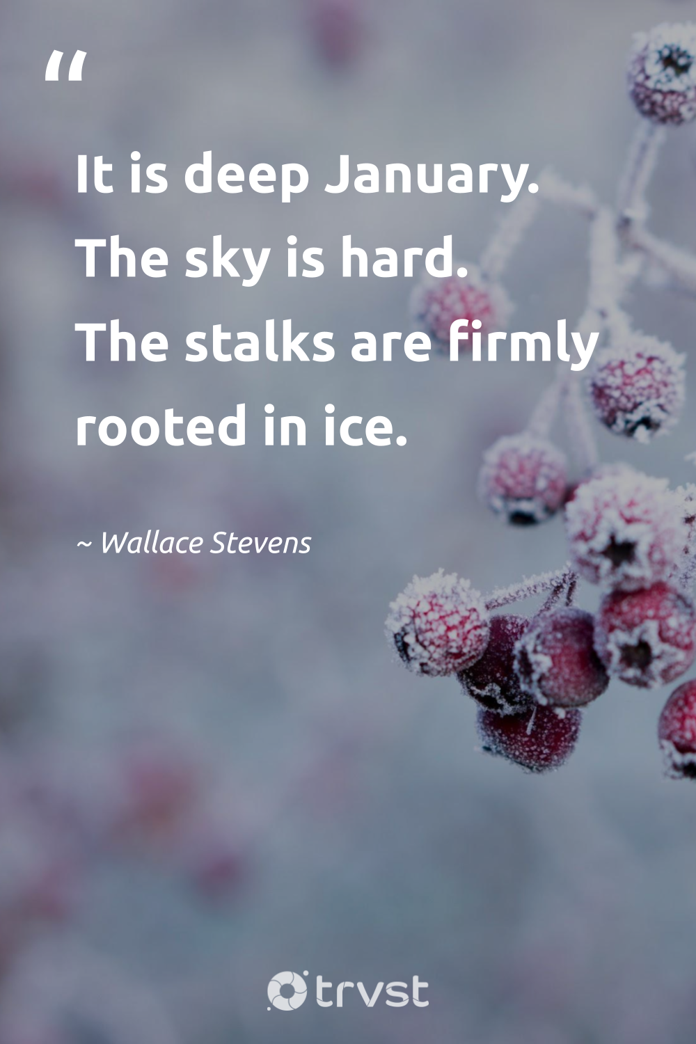 39 January Quotes and Sayings to Start the Year Right