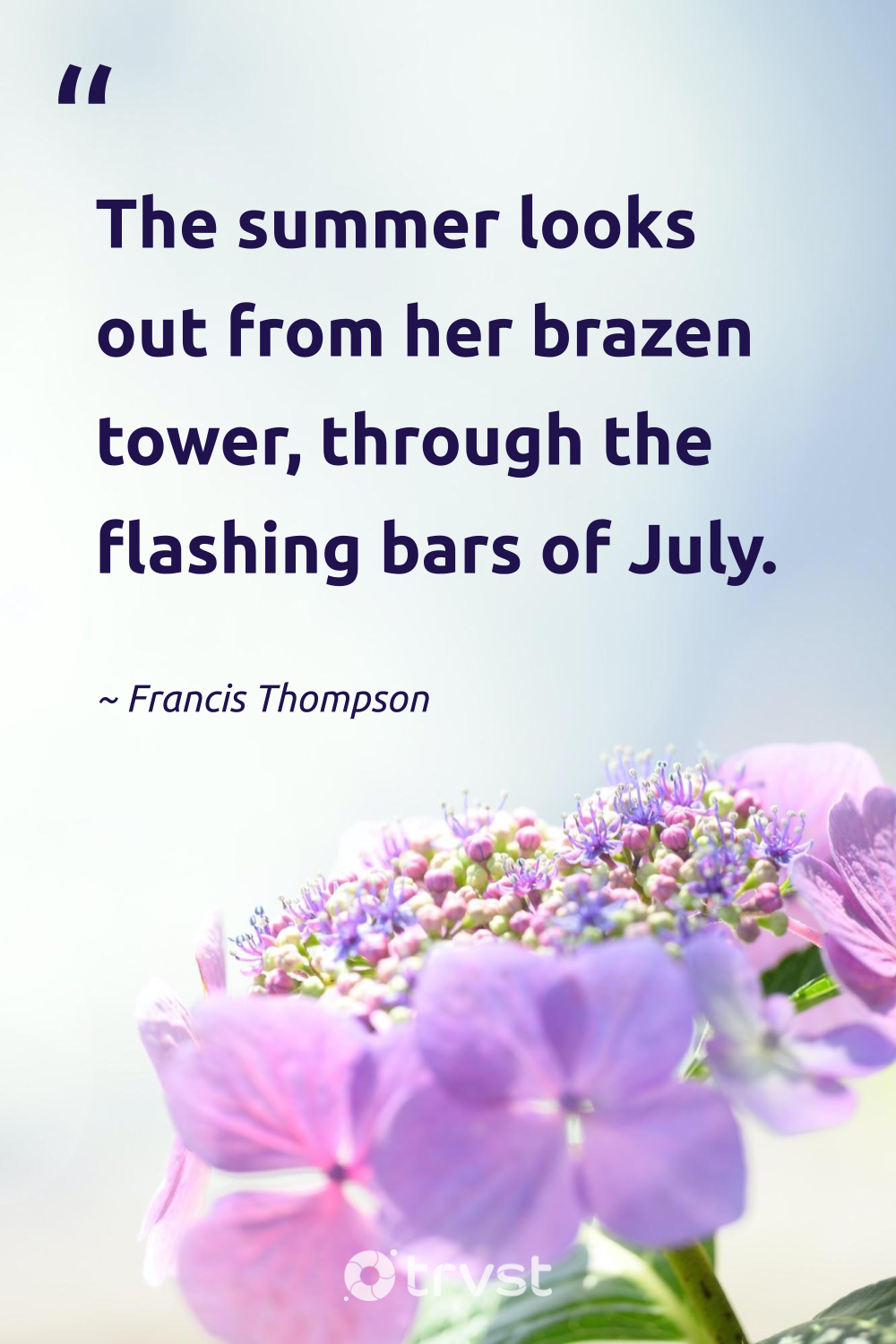 40 July Quotes To Embrace Warmth And Freedom