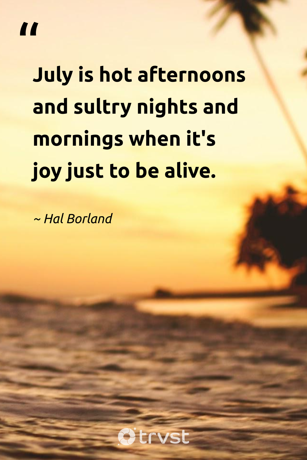 40 July Quotes To Embrace Warmth And Freedom