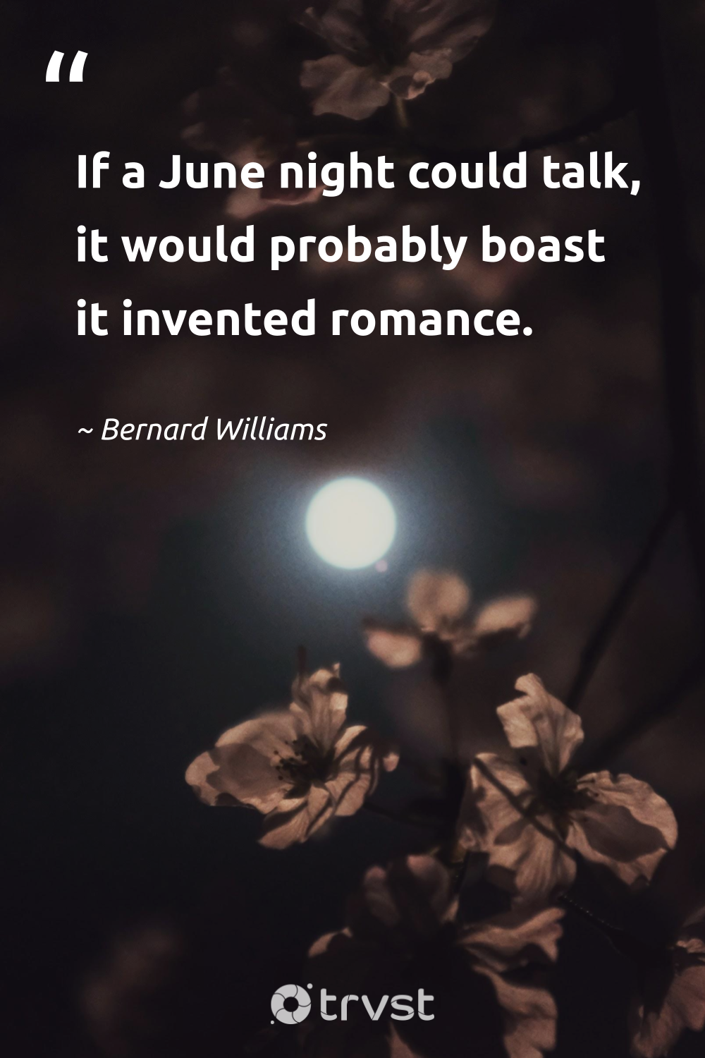 61 June Quotes & Captions to Spark Summer Celebrations (2025)