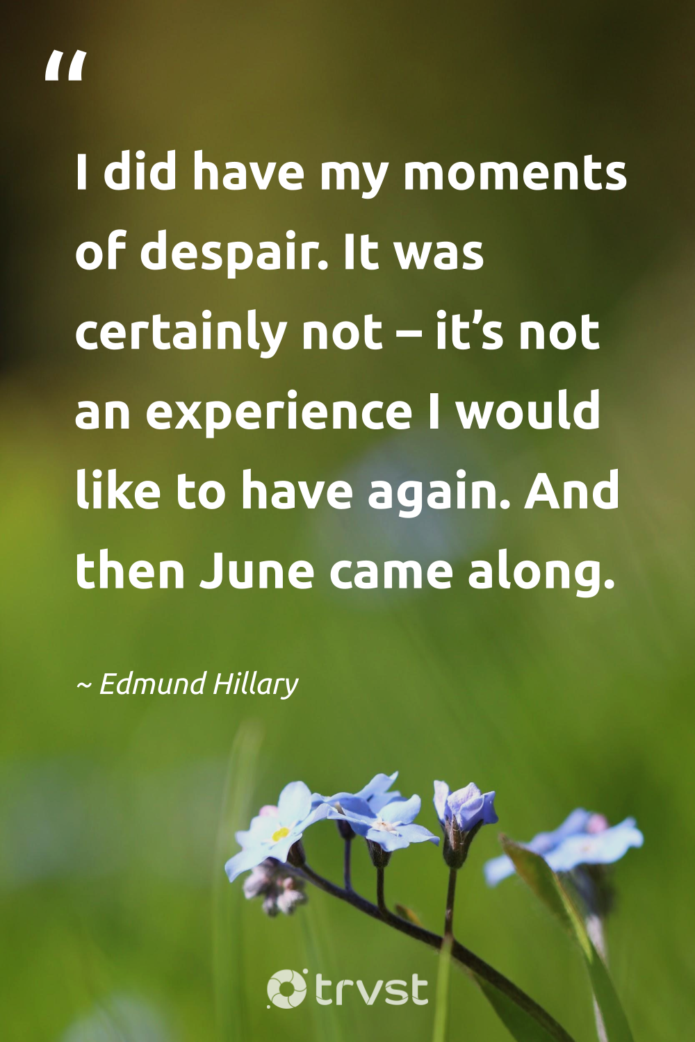 61 June Quotes & Captions to Spark Summer Celebrations (2025)