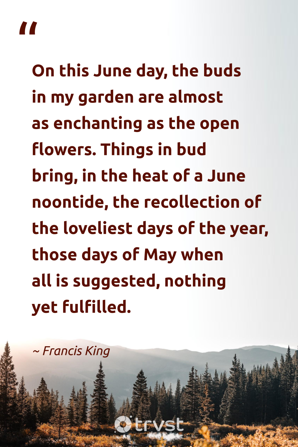 61 June Quotes & Captions to Spark Summer Celebrations (2025)