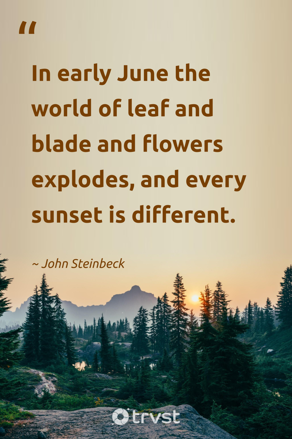 61 June Quotes & Captions to Spark Summer Celebrations (2025)