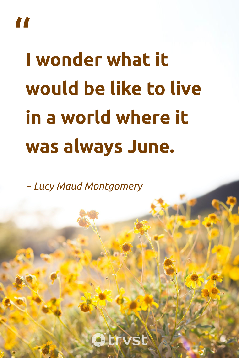 61 June Quotes & Captions to Spark Summer Celebrations (2025)