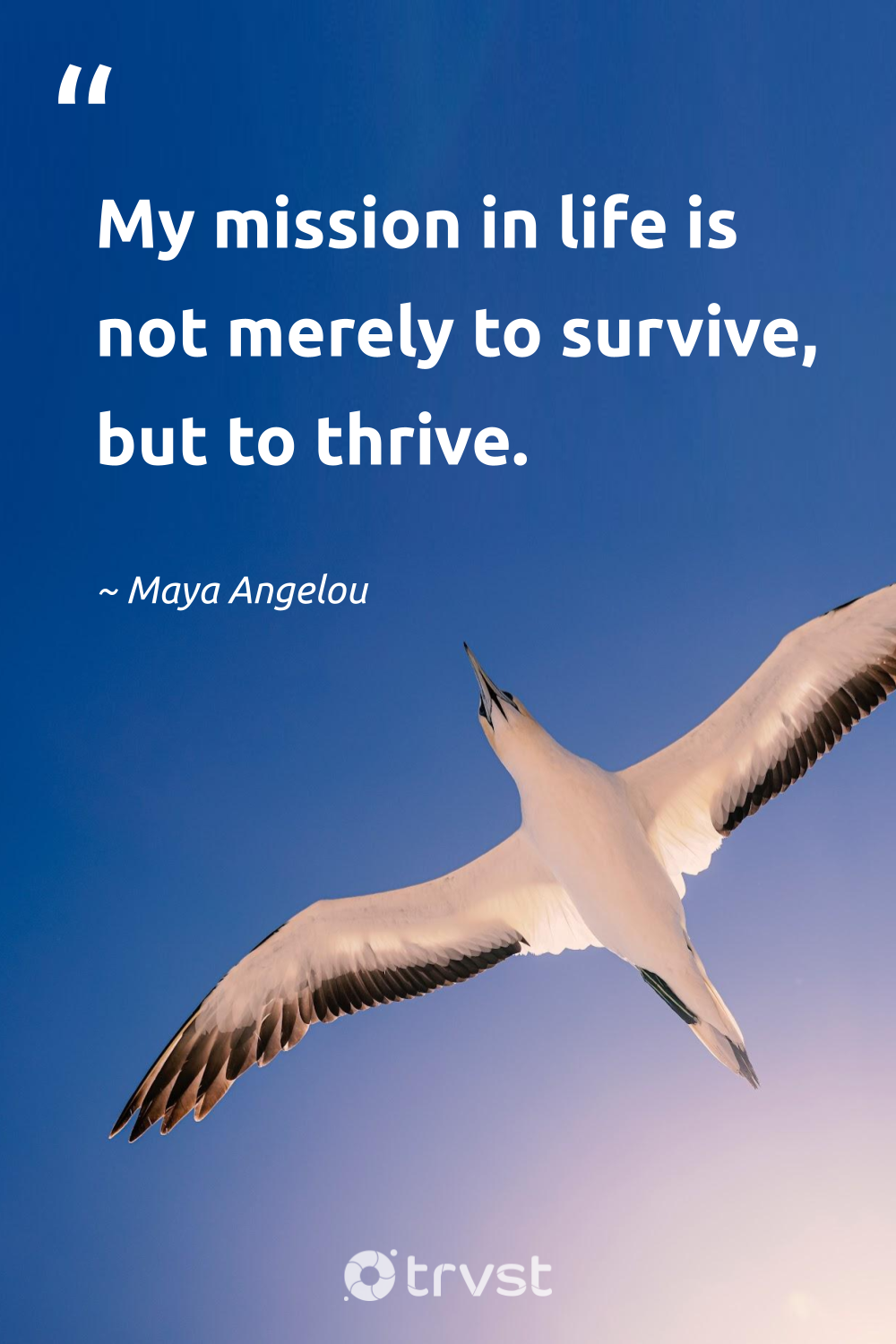 61 June Quotes & Captions to Spark Summer Celebrations (2025)