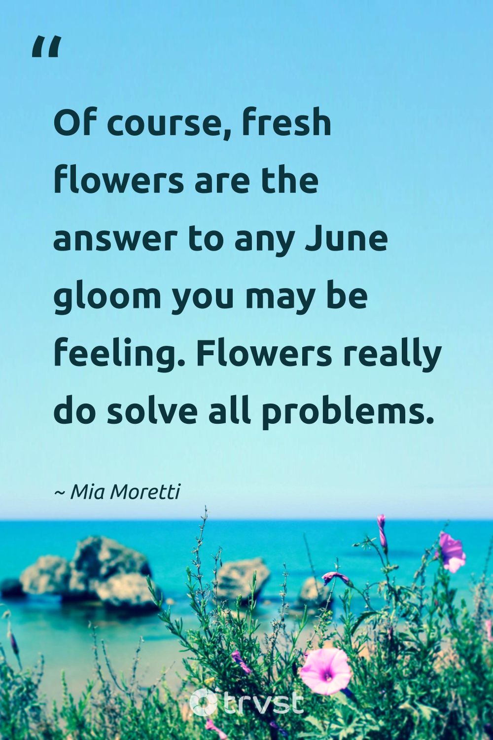 61 June Quotes & Captions to Spark Summer Celebrations (2025)