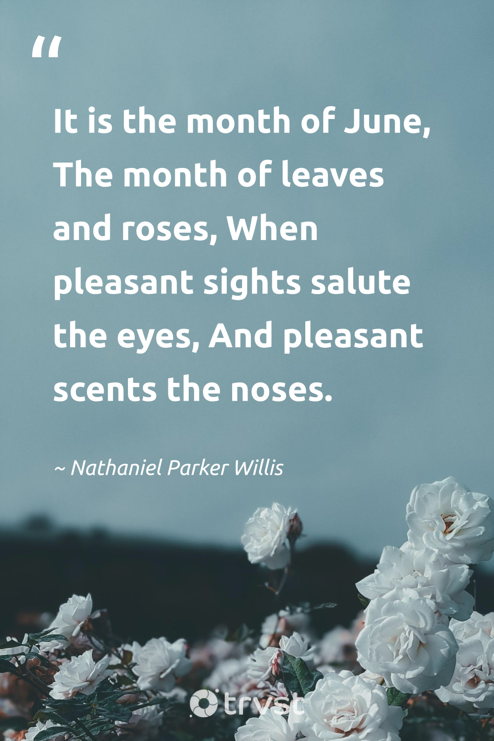 61 June Quotes & Captions to Spark Summer Celebrations (2025)