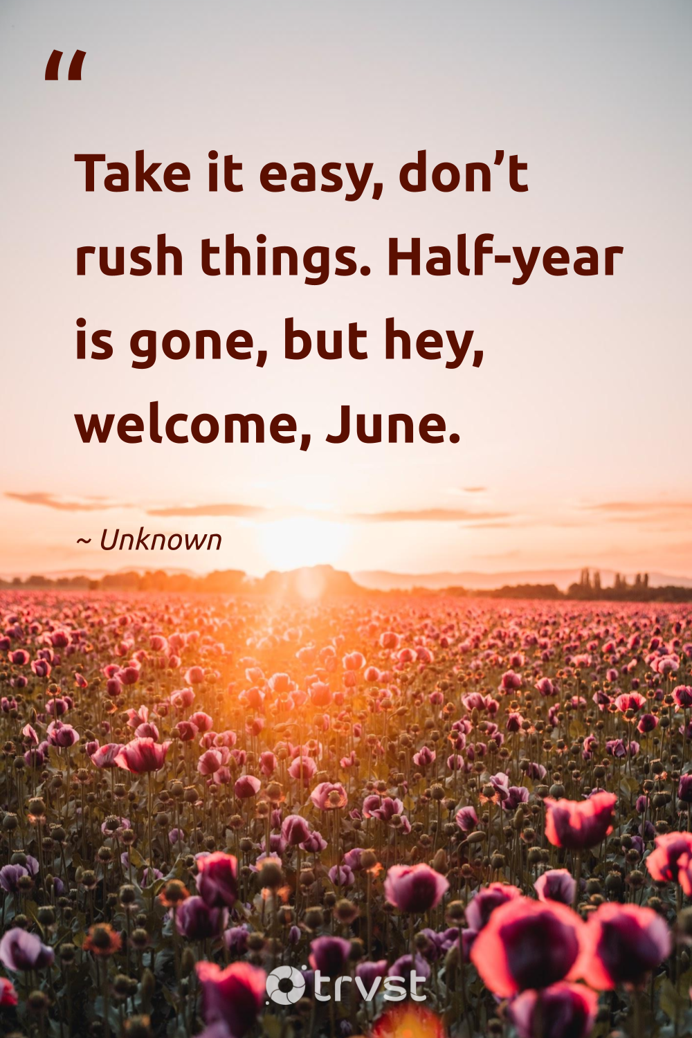 61 June Quotes & Captions to Spark Summer Celebrations (2025)