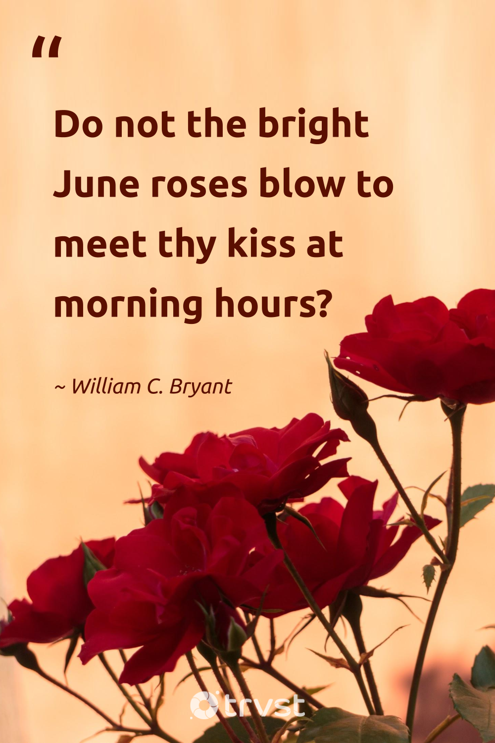 61 June Quotes & Captions to Spark Summer Celebrations (2025)