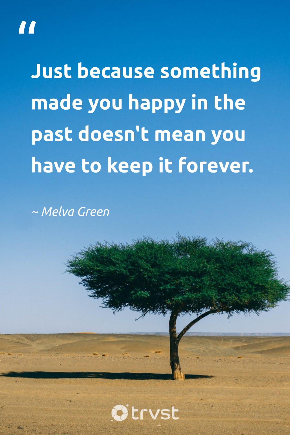 77 Letting Go Quotes About Finding Strength In Surrender (2024)