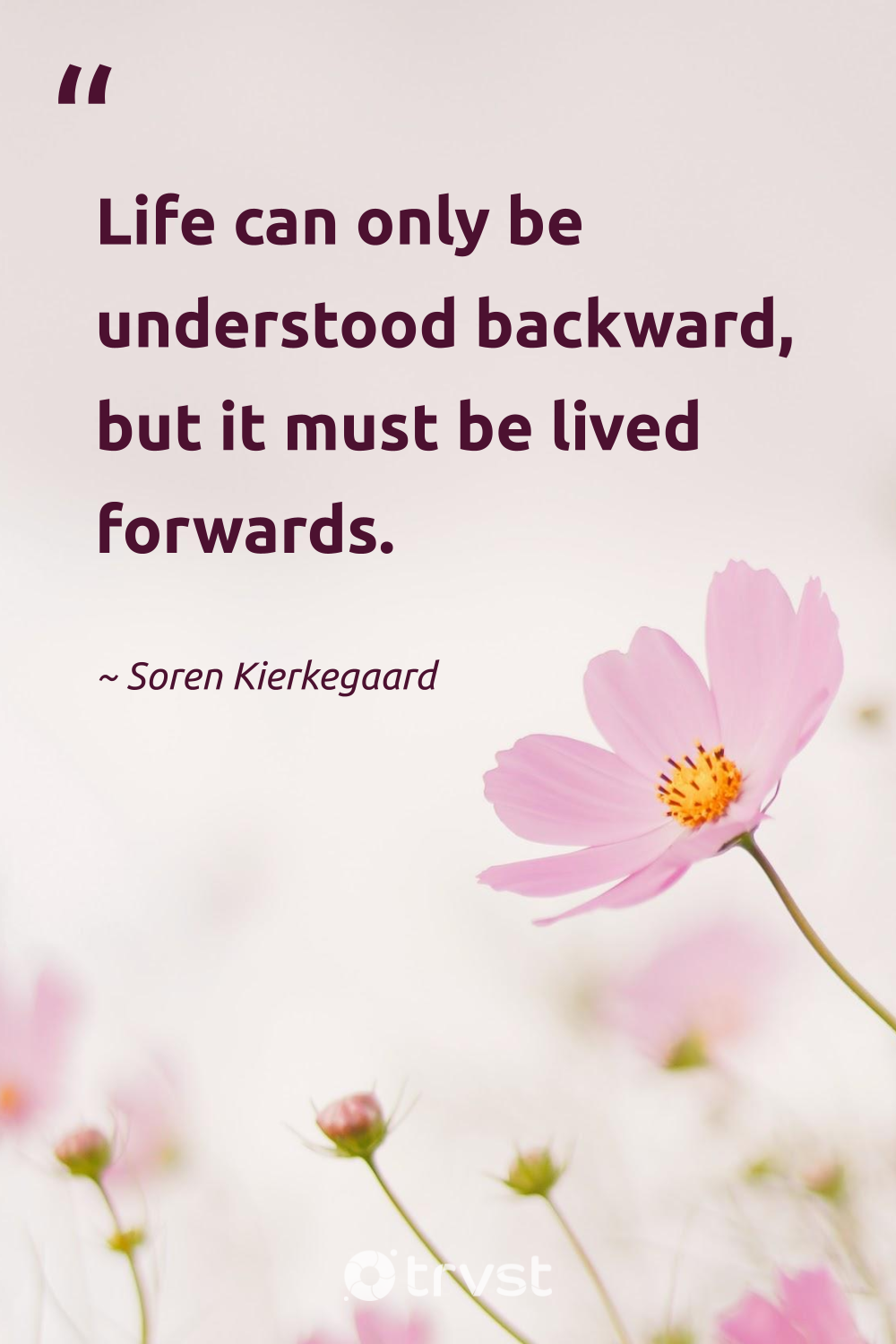 60 Life Goes On Quotes That Uplift And Teach Resilience