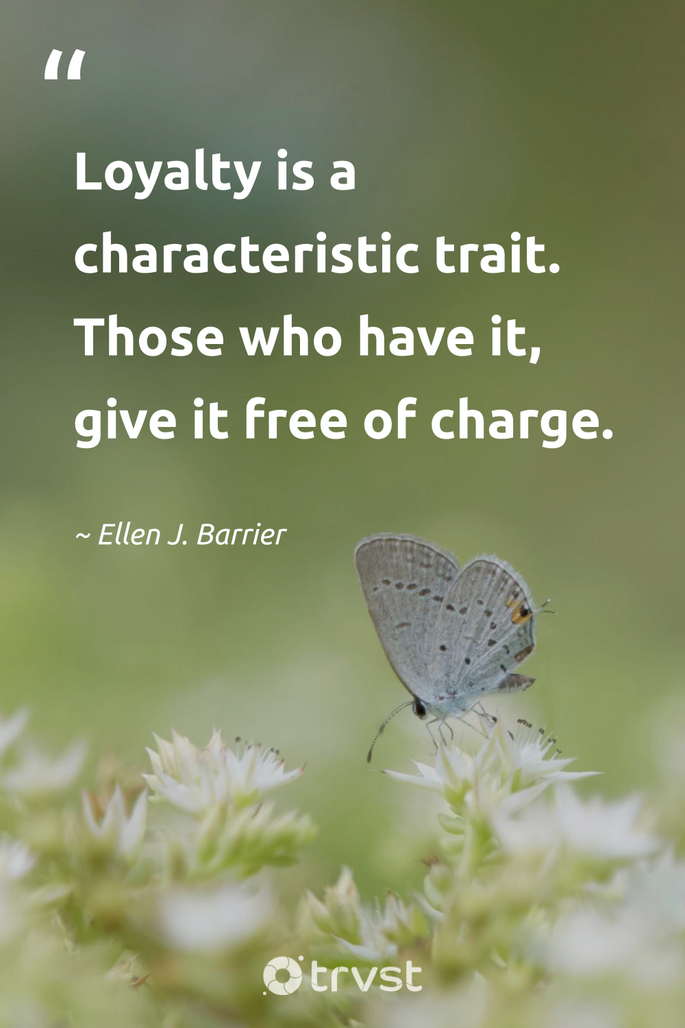 59 Loyalty Quotes & Captions Showcasing True Bonds (2025)