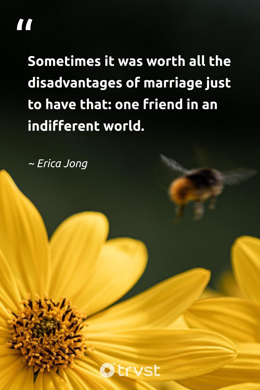 59 Loyalty Quotes & Captions Showcasing True Bonds (2024)